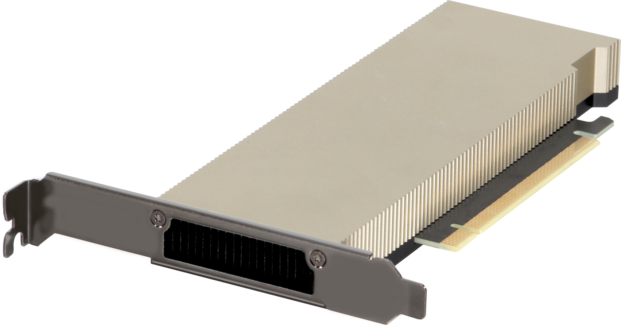 Dell NVIDIA L4 Tensor Core 24GB GDDR6 72W PCIe x16 FHHL GPU